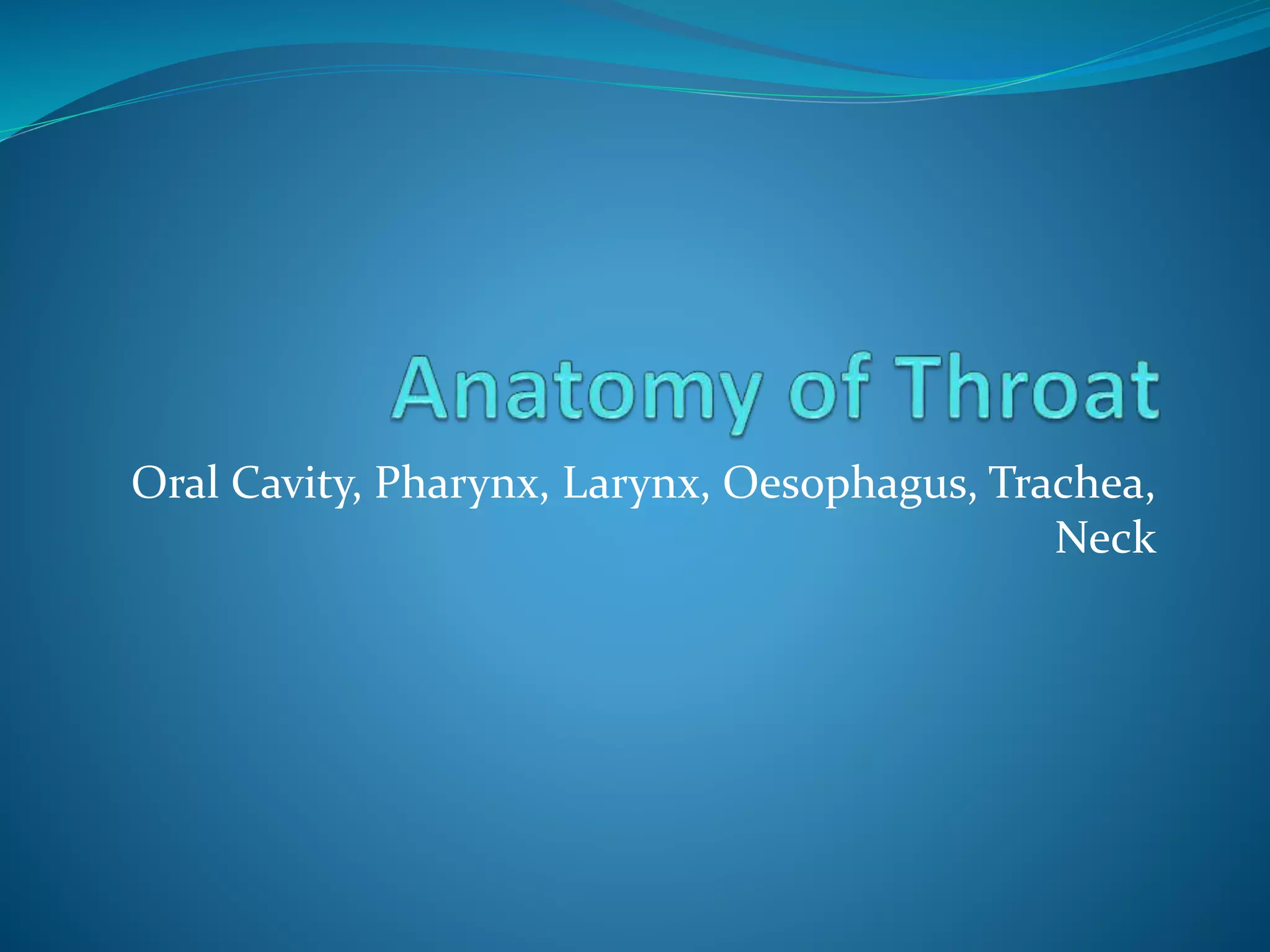 Anatomy of throat | PPTX