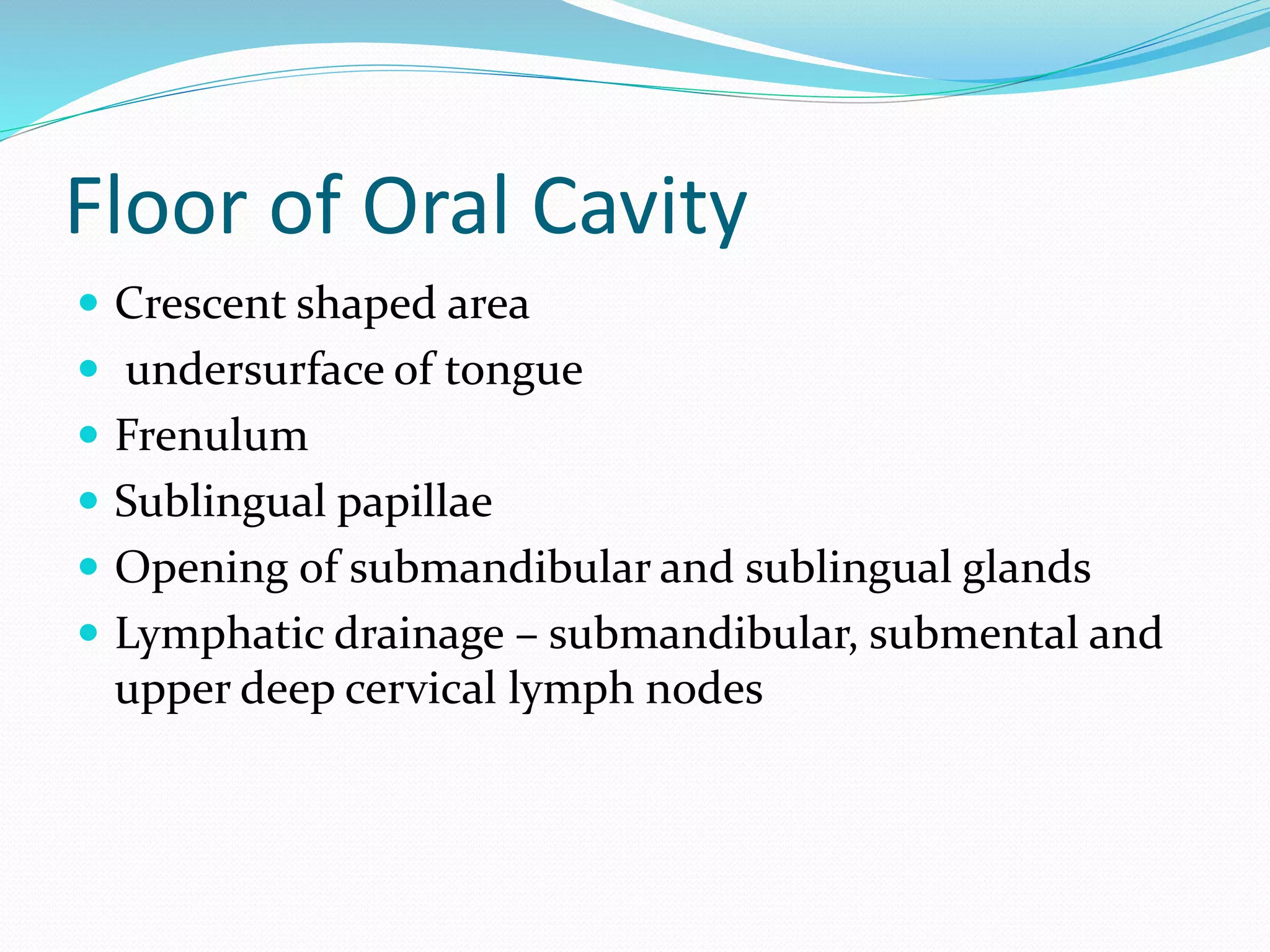 Anatomy of throat | PPTX