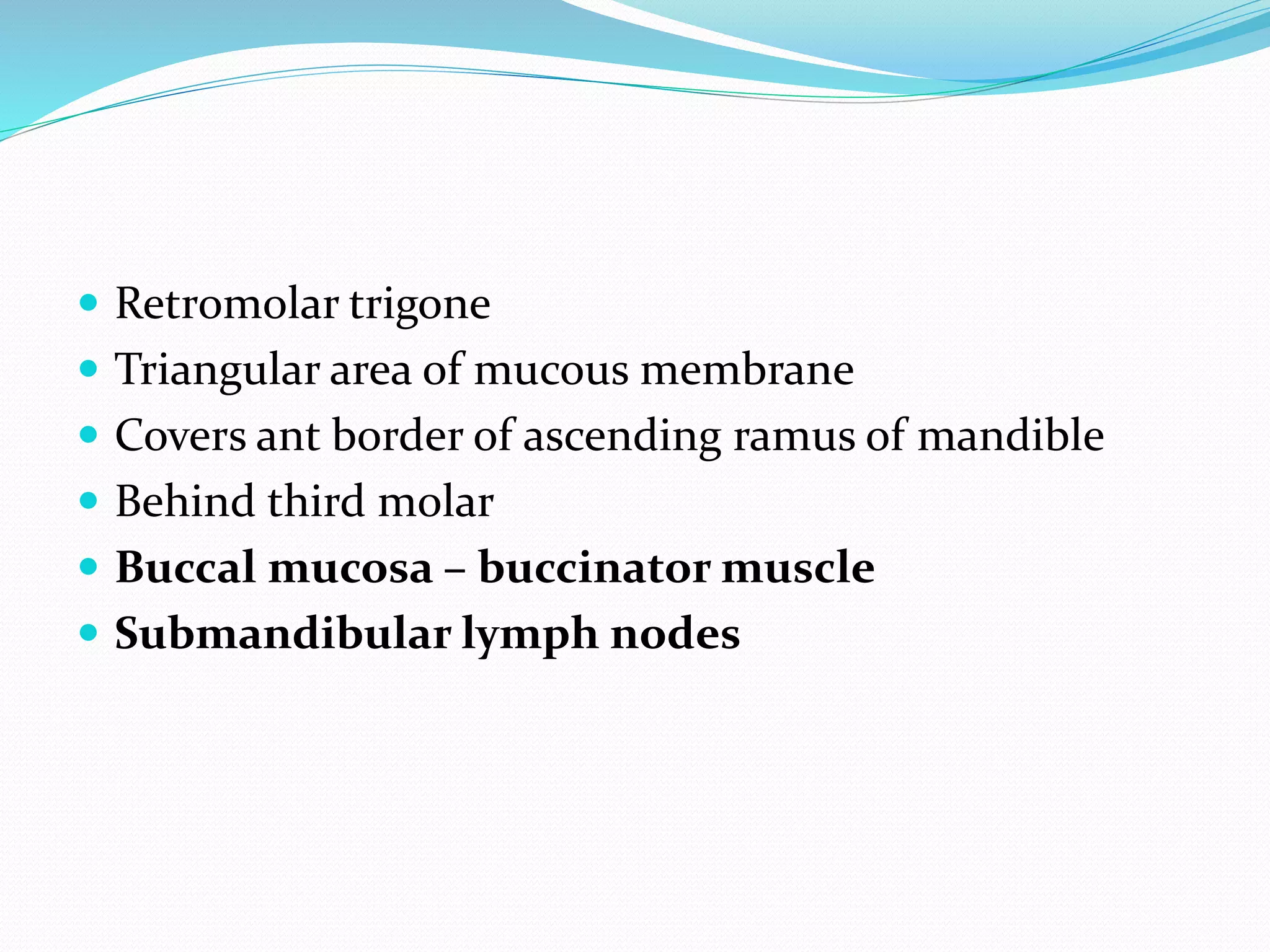 Anatomy of throat | PPTX