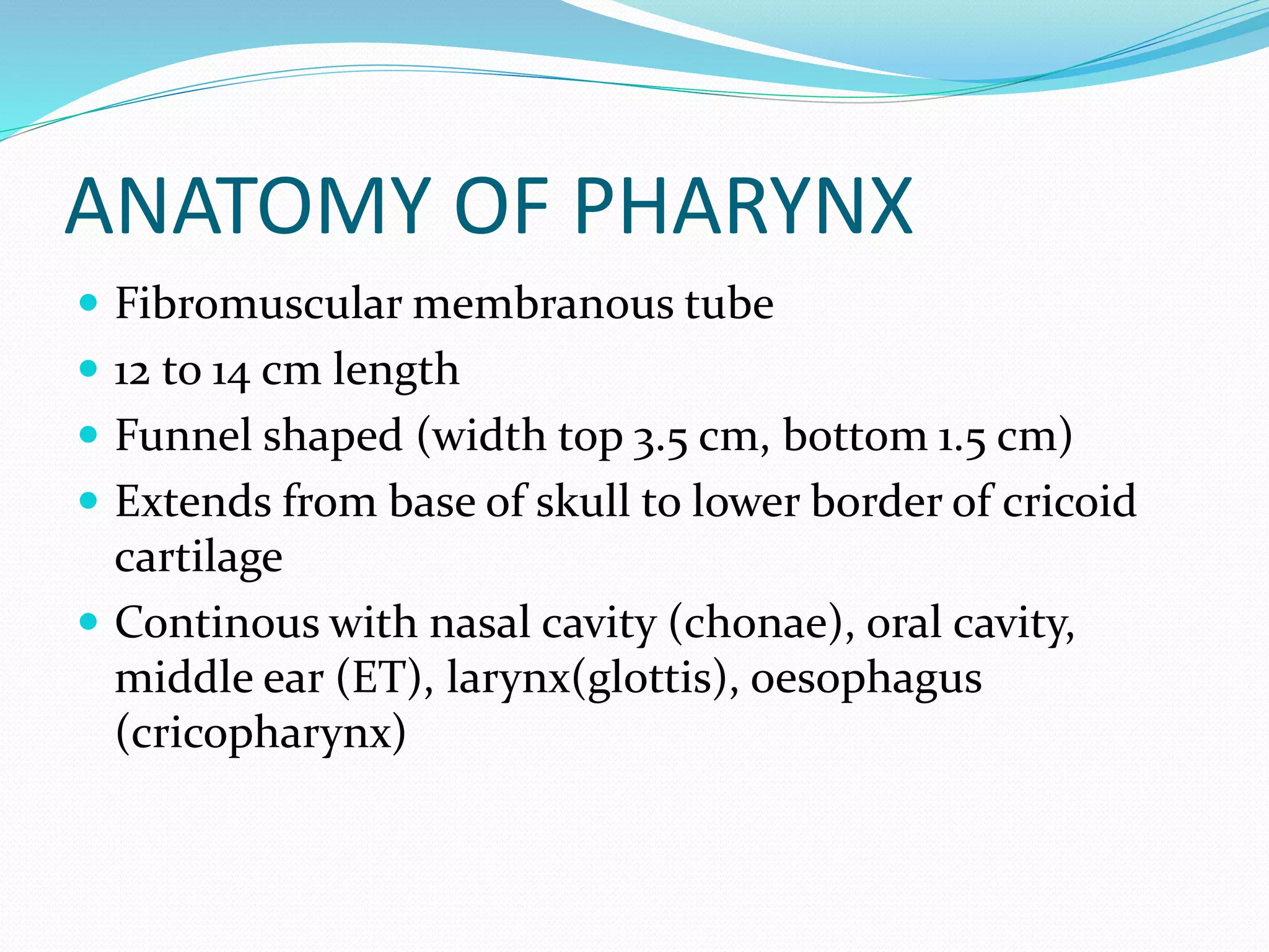 Anatomy of throat | PPTX