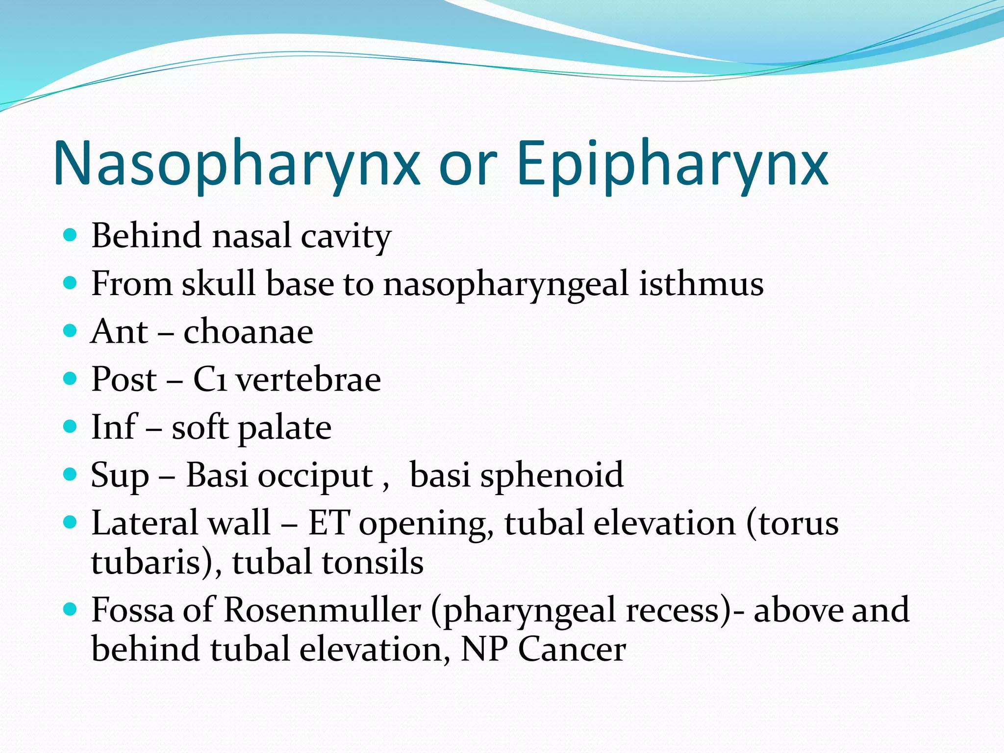 Anatomy of throat | PPTX