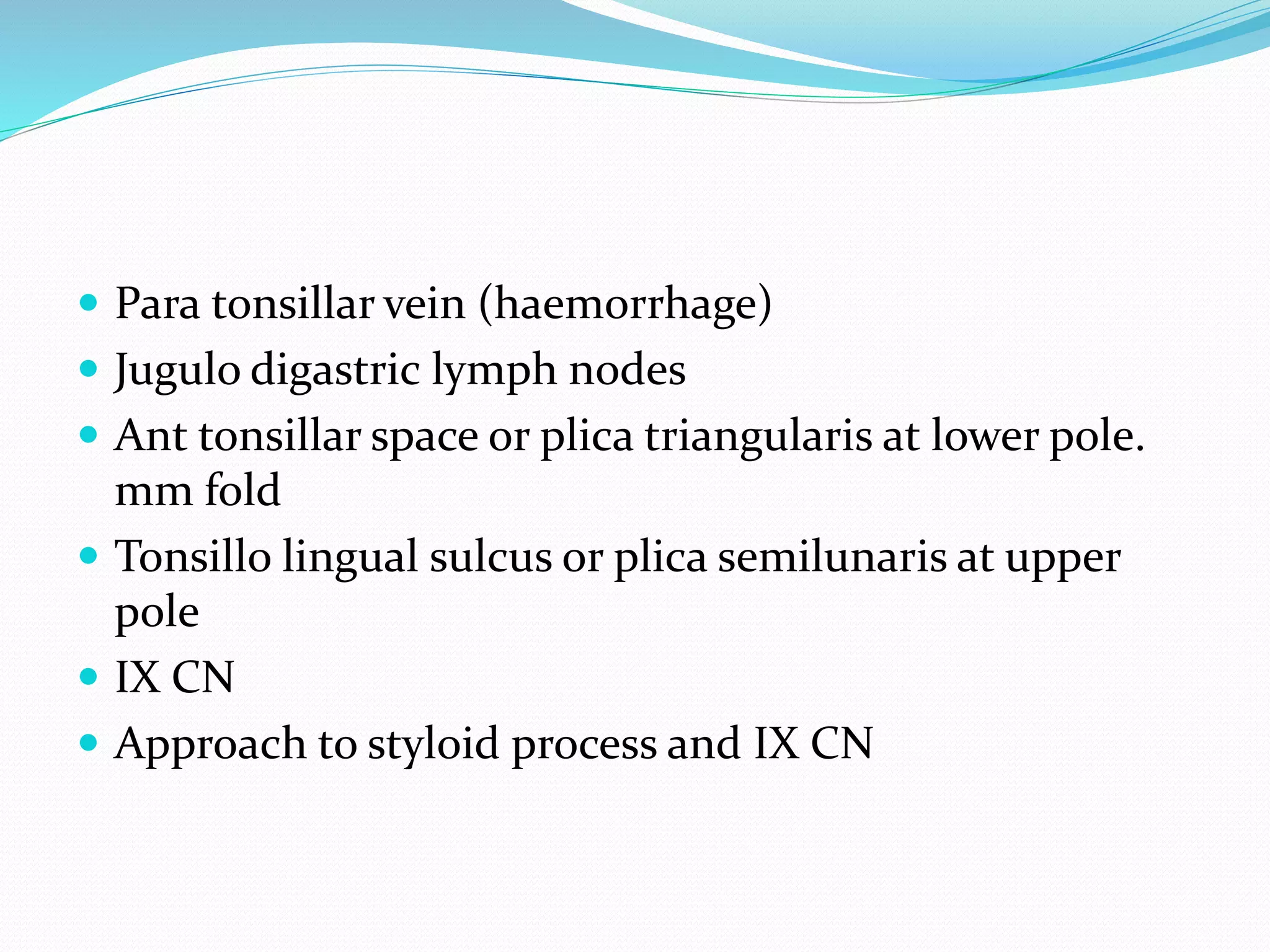 Anatomy of throat | PPTX