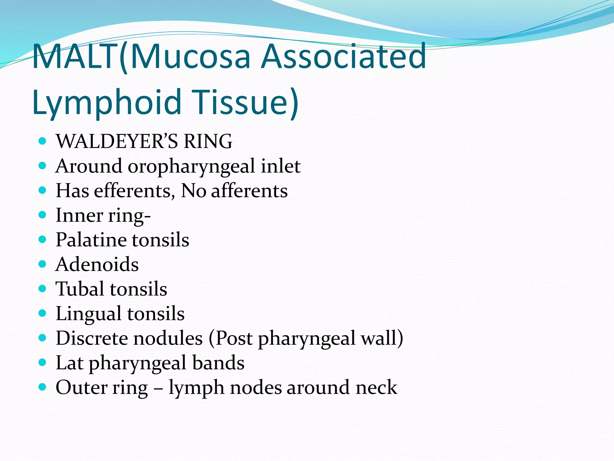 Anatomy of throat | PPTX