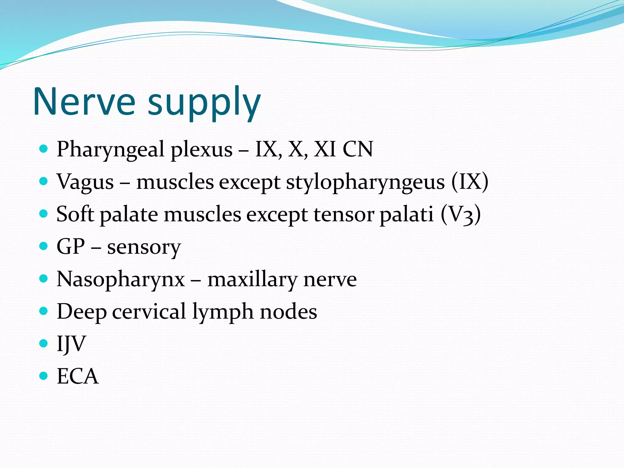 Anatomy of throat | PPTX