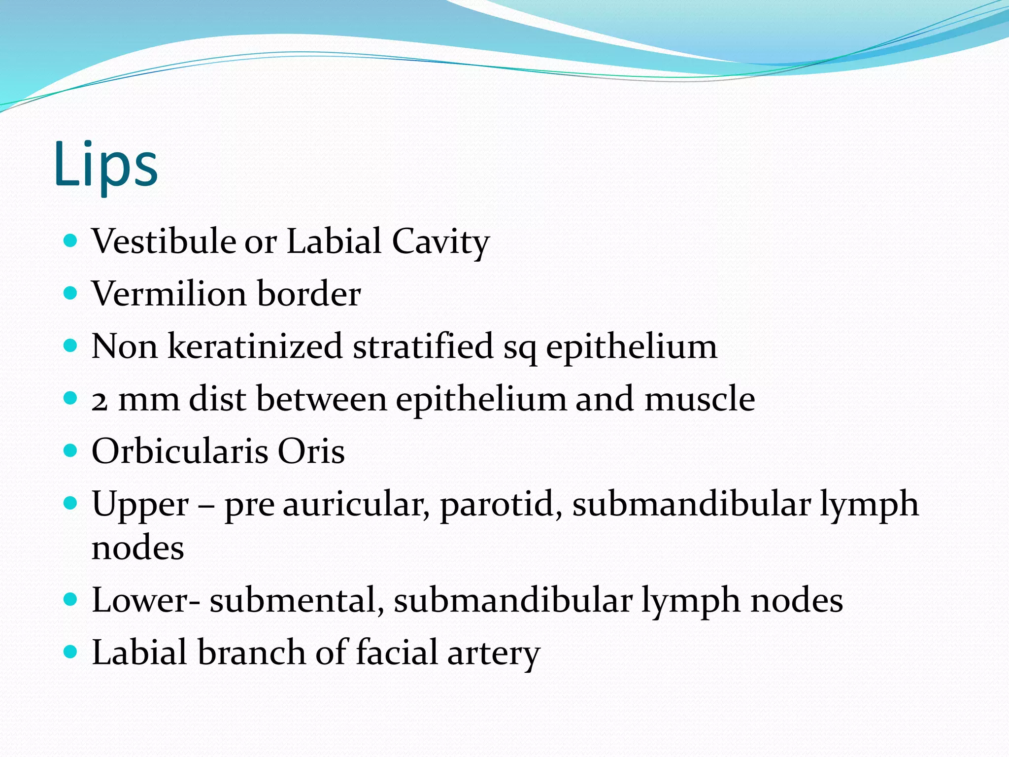 Anatomy of throat | PPTX
