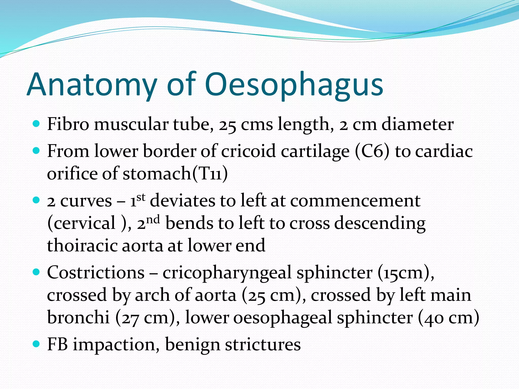 Anatomy of throat | PPTX