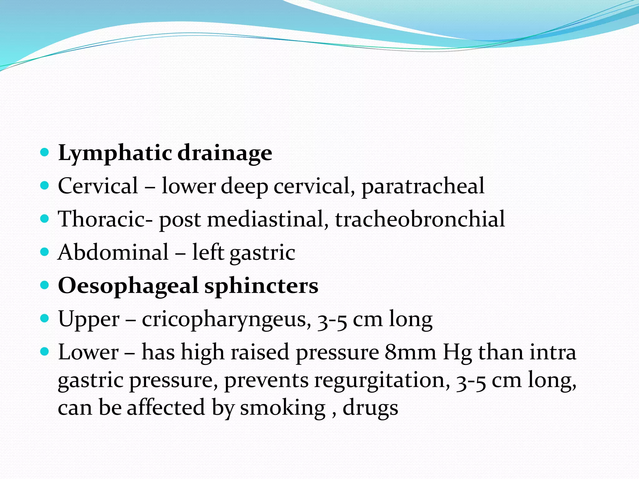 Anatomy of throat | PPTX