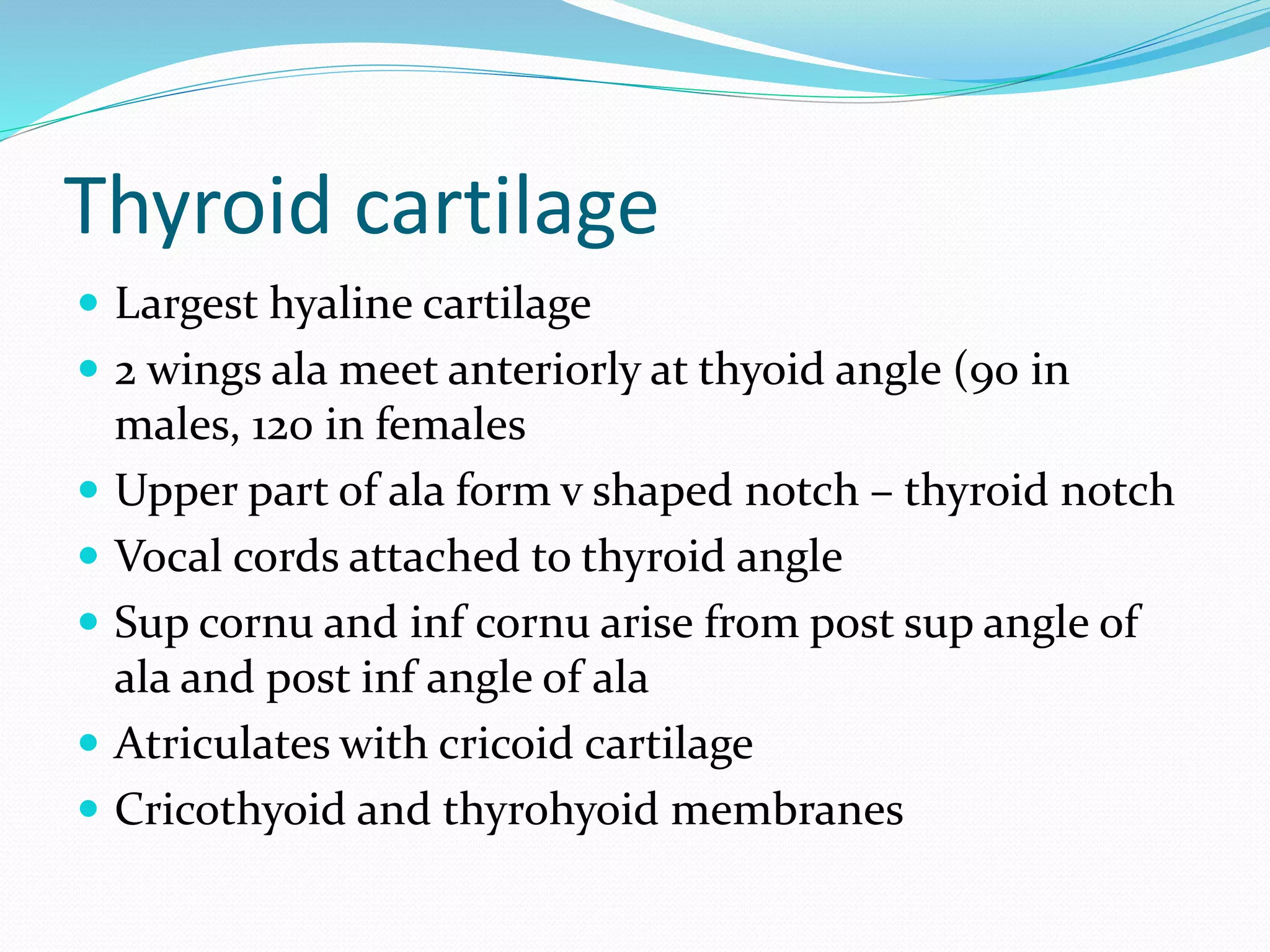 Anatomy of throat | PPTX