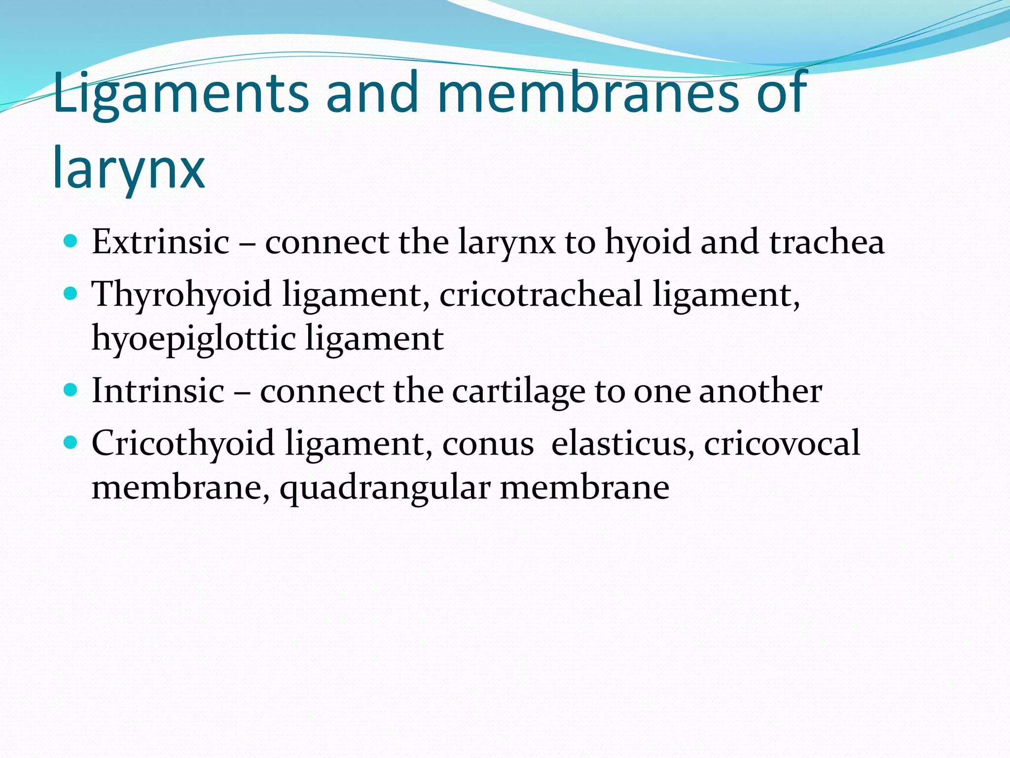 Anatomy of throat | PPTX