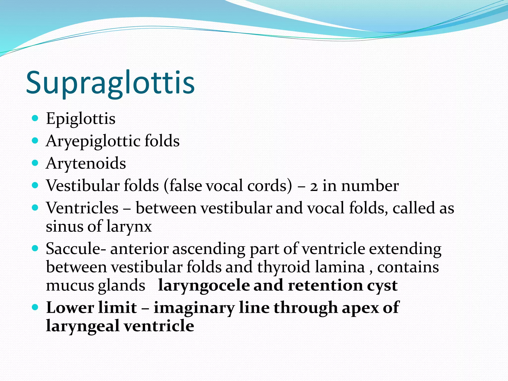 Anatomy of throat | PPTX
