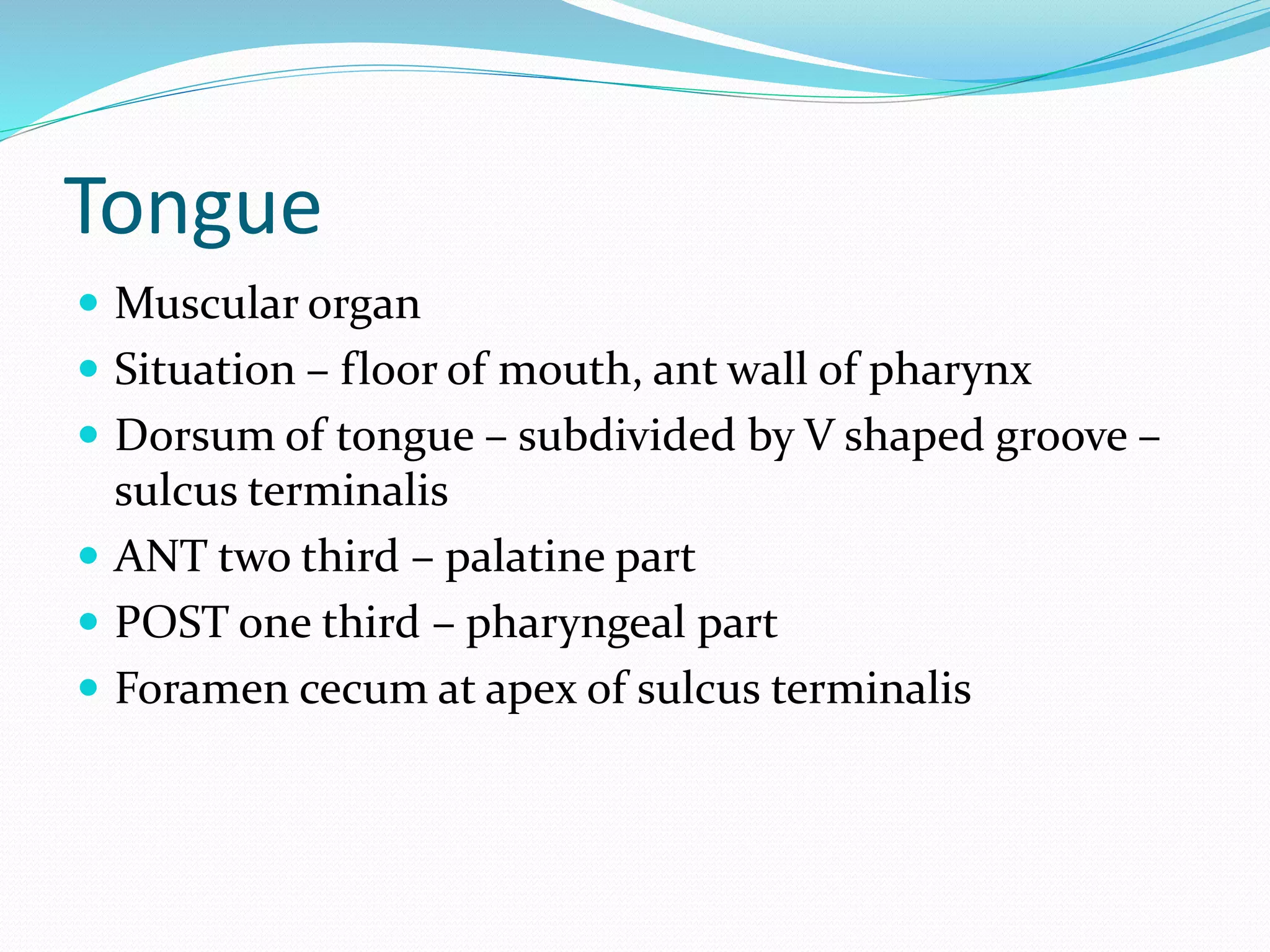 Anatomy of throat | PPTX