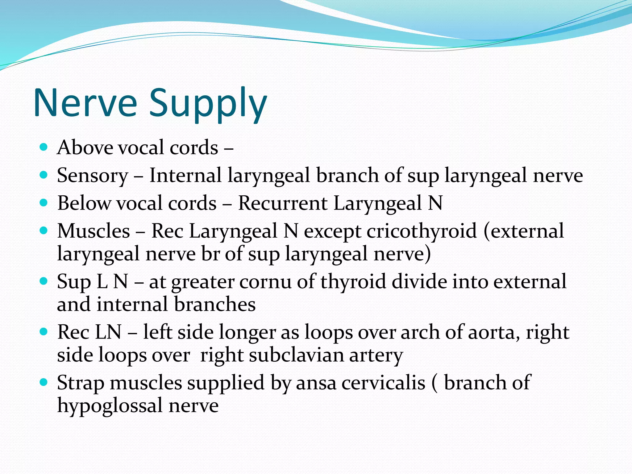 Anatomy of throat | PPTX