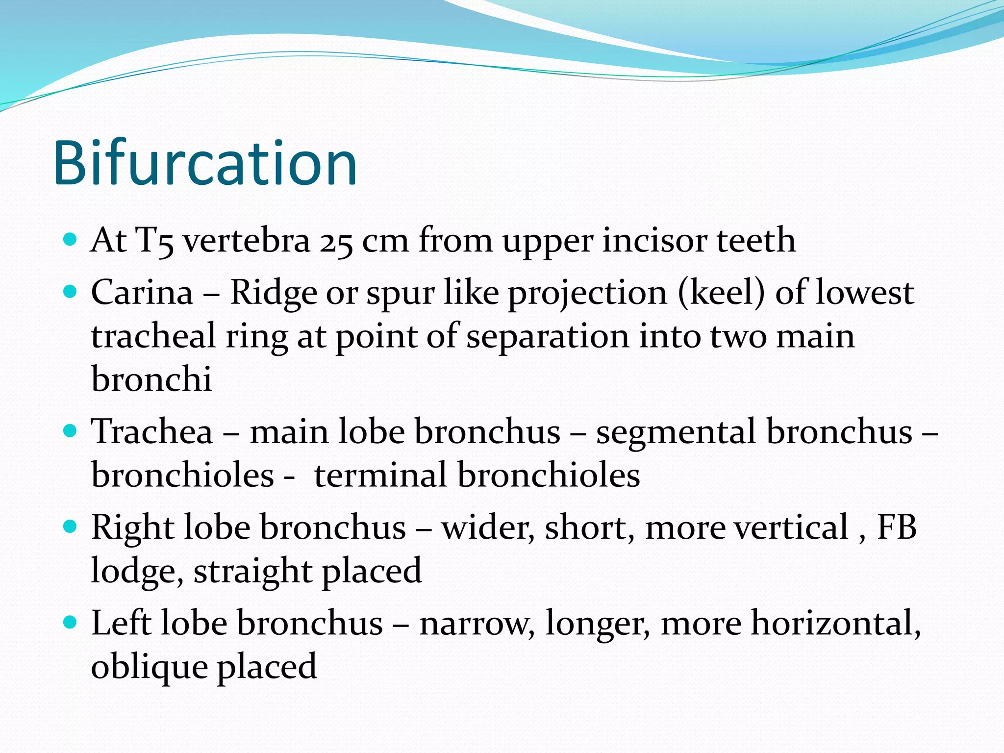 Anatomy of throat | PPTX
