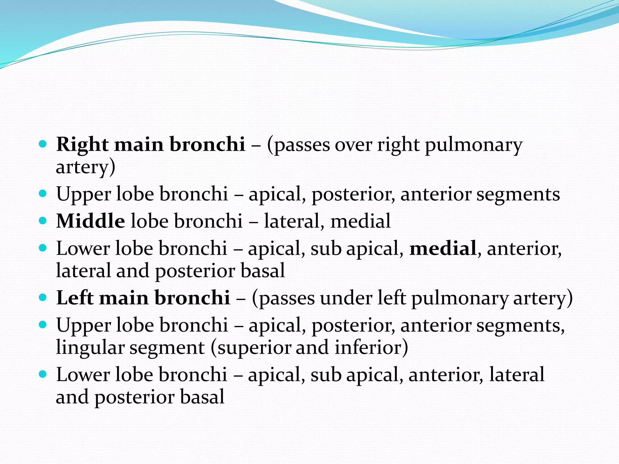 Anatomy of throat | PPTX