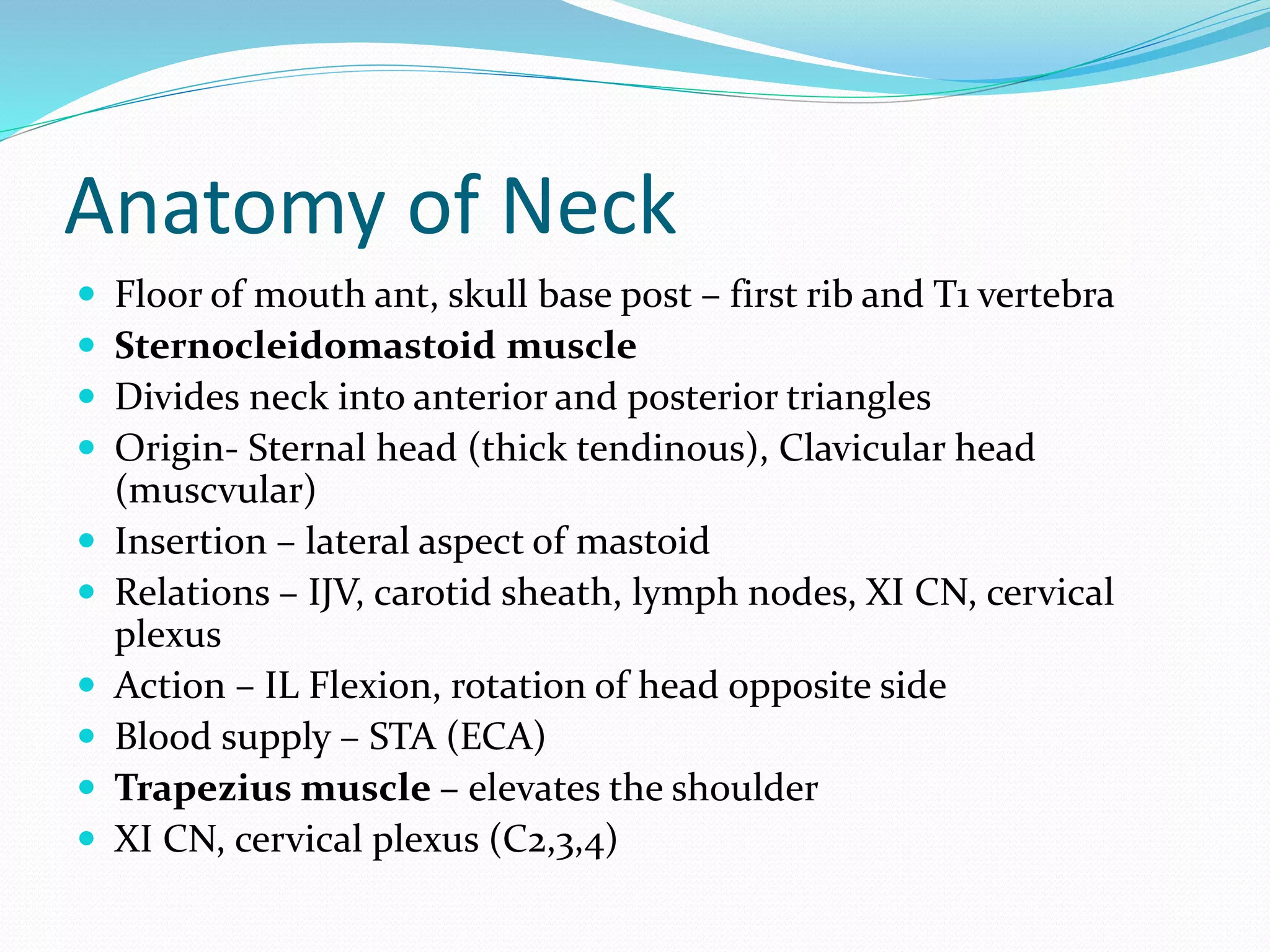 Anatomy of throat | PPTX
