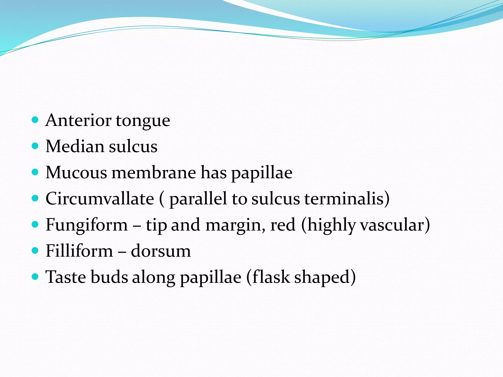 Anatomy of throat | PPTX