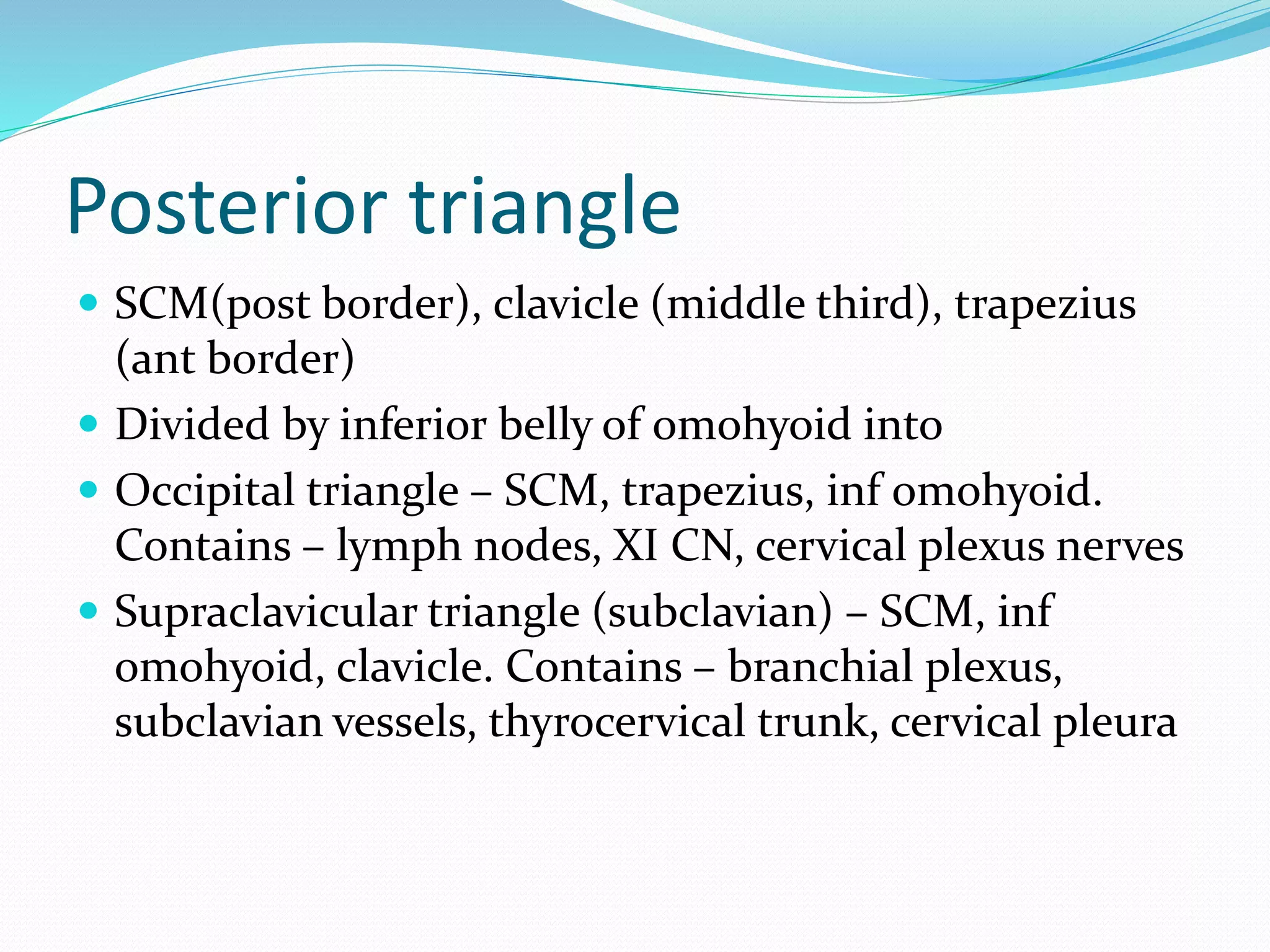Anatomy of throat | PPTX
