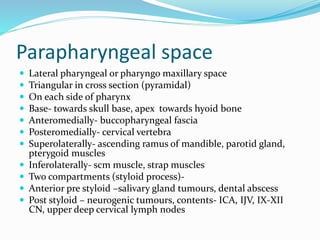 Anatomy of throat | PPTX