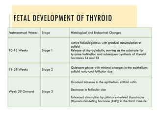 ANATOMY AND PHYSIOLOGY OF THYROID GLAND / TRIANGLEs RELATED TO THYROID ...