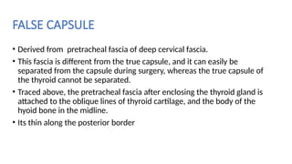 ANATOMY OF THYROID AND PARATHYROID GLAND.pptx