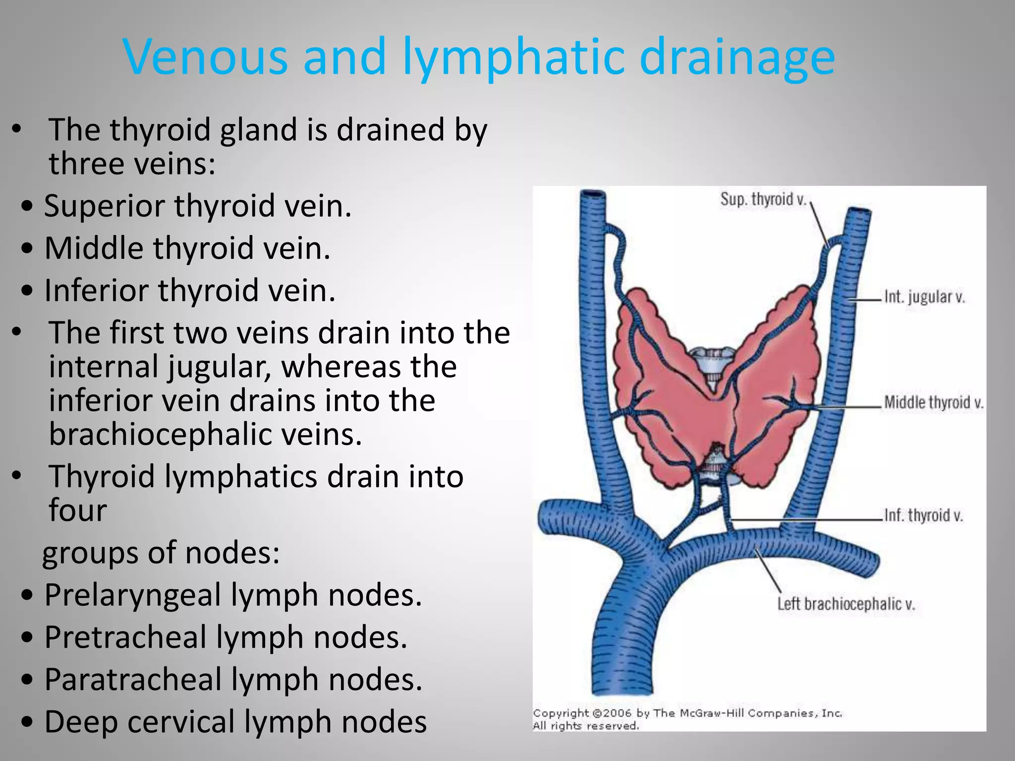 Anatomy and physiology of thyroid and parathyroid gland | PPTX