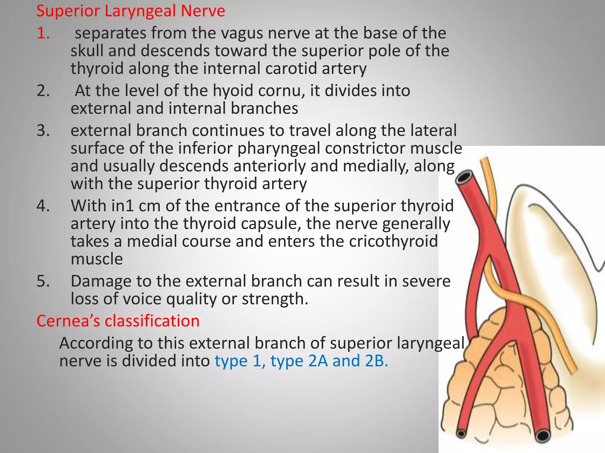 Anatomy and physiology of thyroid and parathyroid gland | PPTX