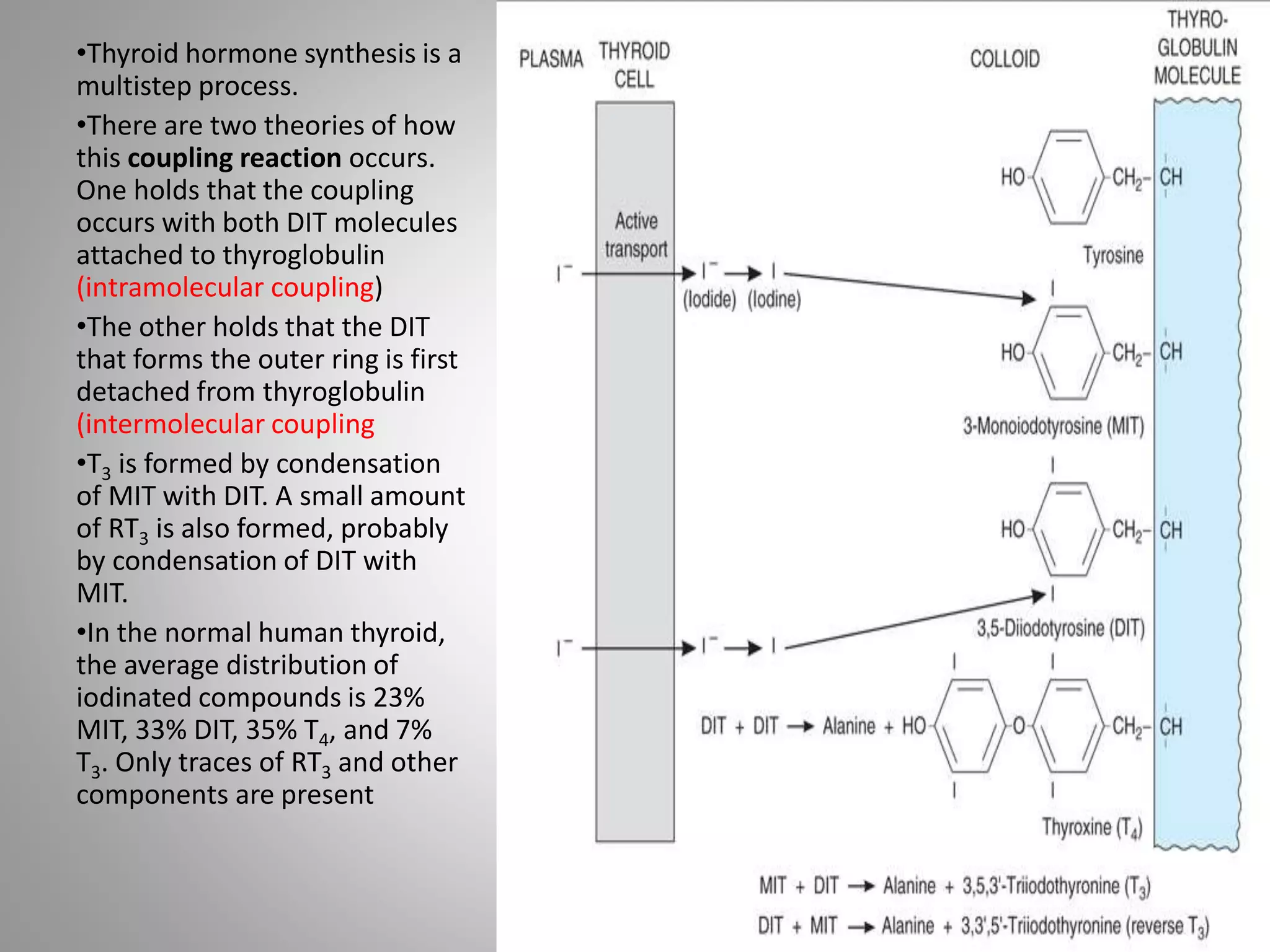 Anatomy and physiology of thyroid and parathyroid gland | PPTX