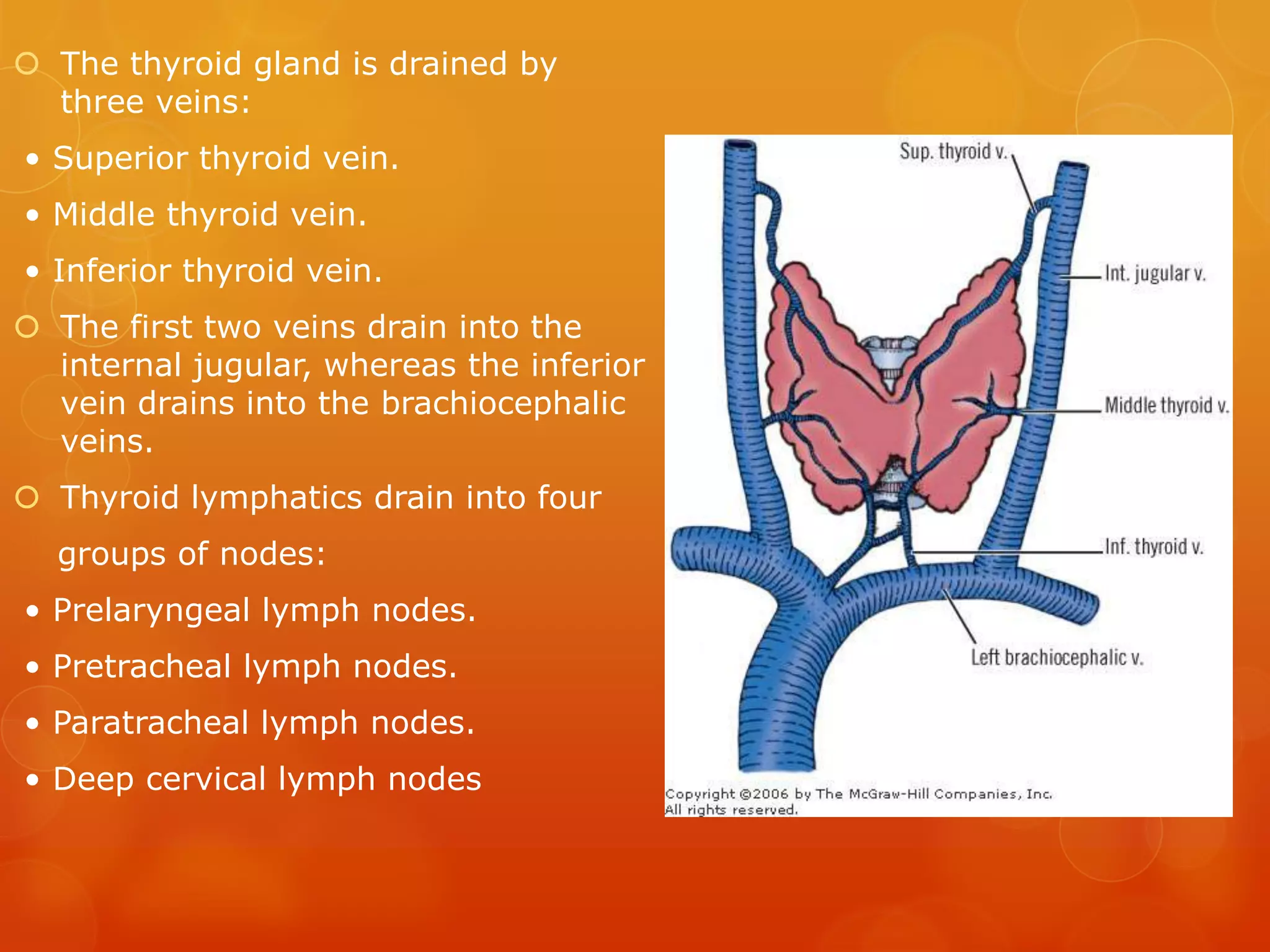 Anatomy of thyroid and parathyroid glands | PPTX