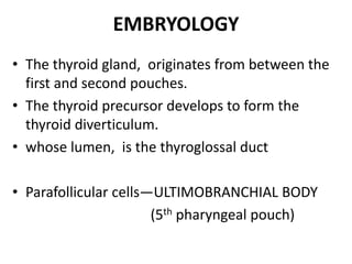 anatomy of thyroid and physiology thyroid.pdf