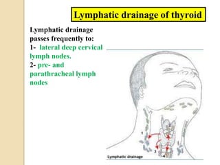 Anatomy of thyroid inter thyrio gland-1.pptx