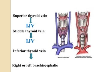 Anatomy of thyroid of anatomy gland-1.pptx | Free Download
