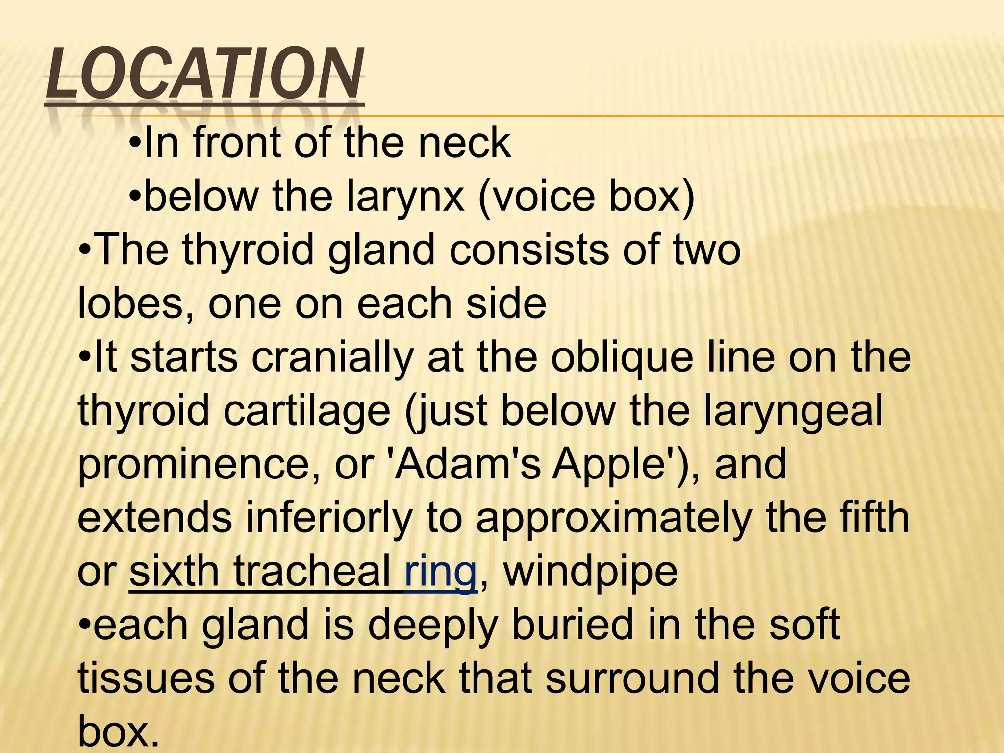Anatomy of thyroid gland | PPTX