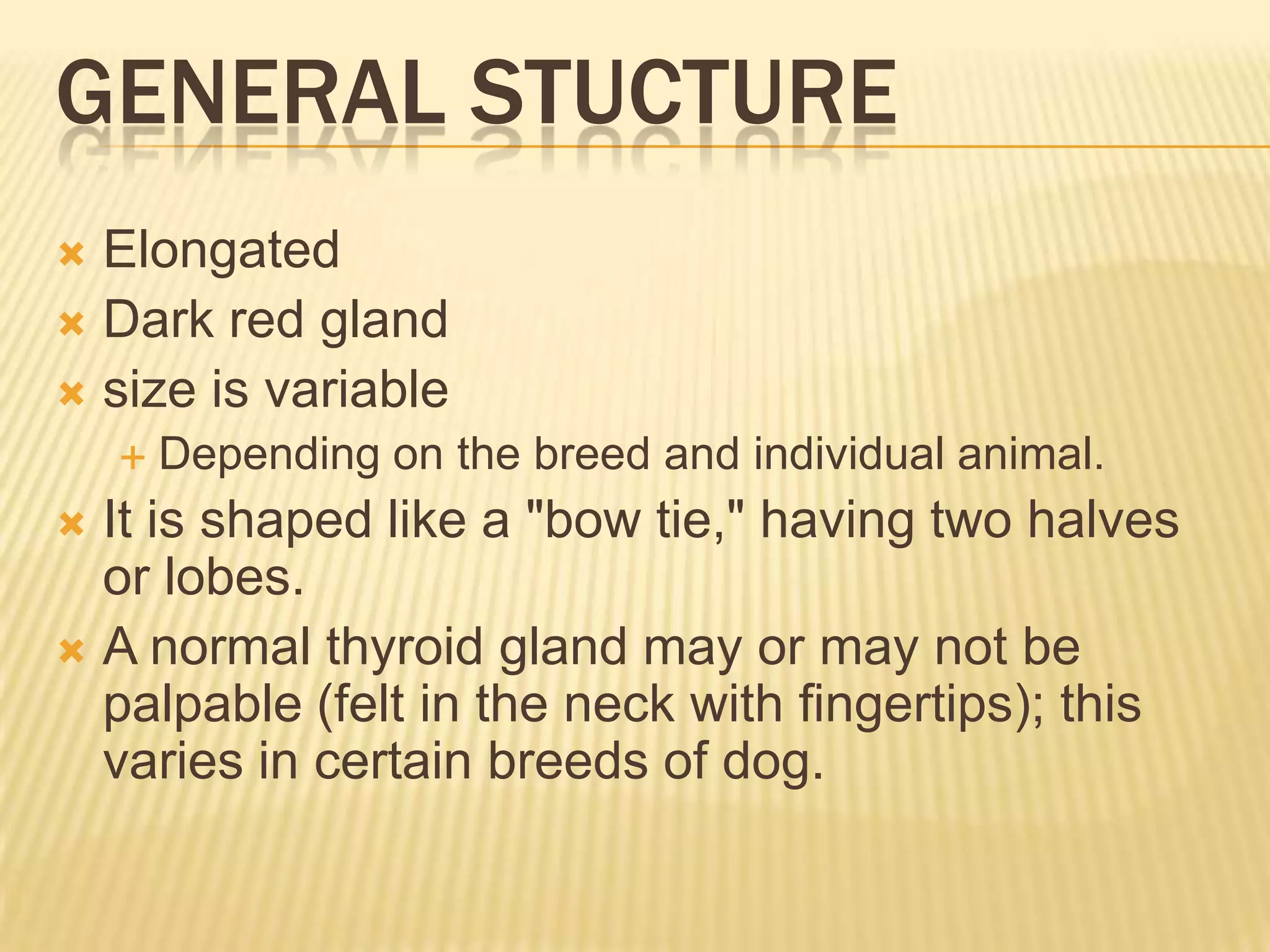 Anatomy of thyroid gland | PPTX