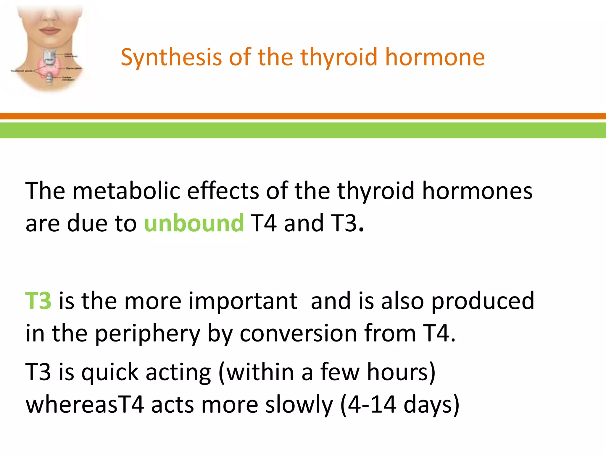 Anatomyofthyroidgland | PPTX