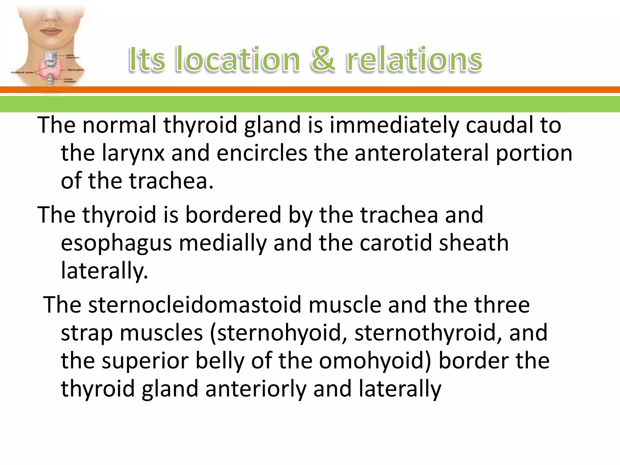 Anatomyofthyroidgland | PPTX