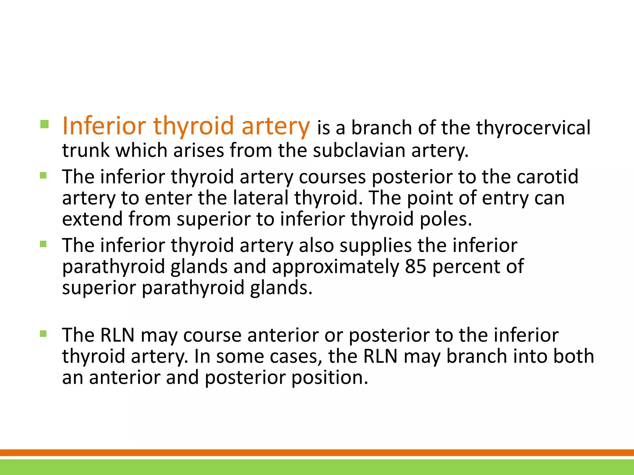 Anatomy of thyroid gland | PPTX