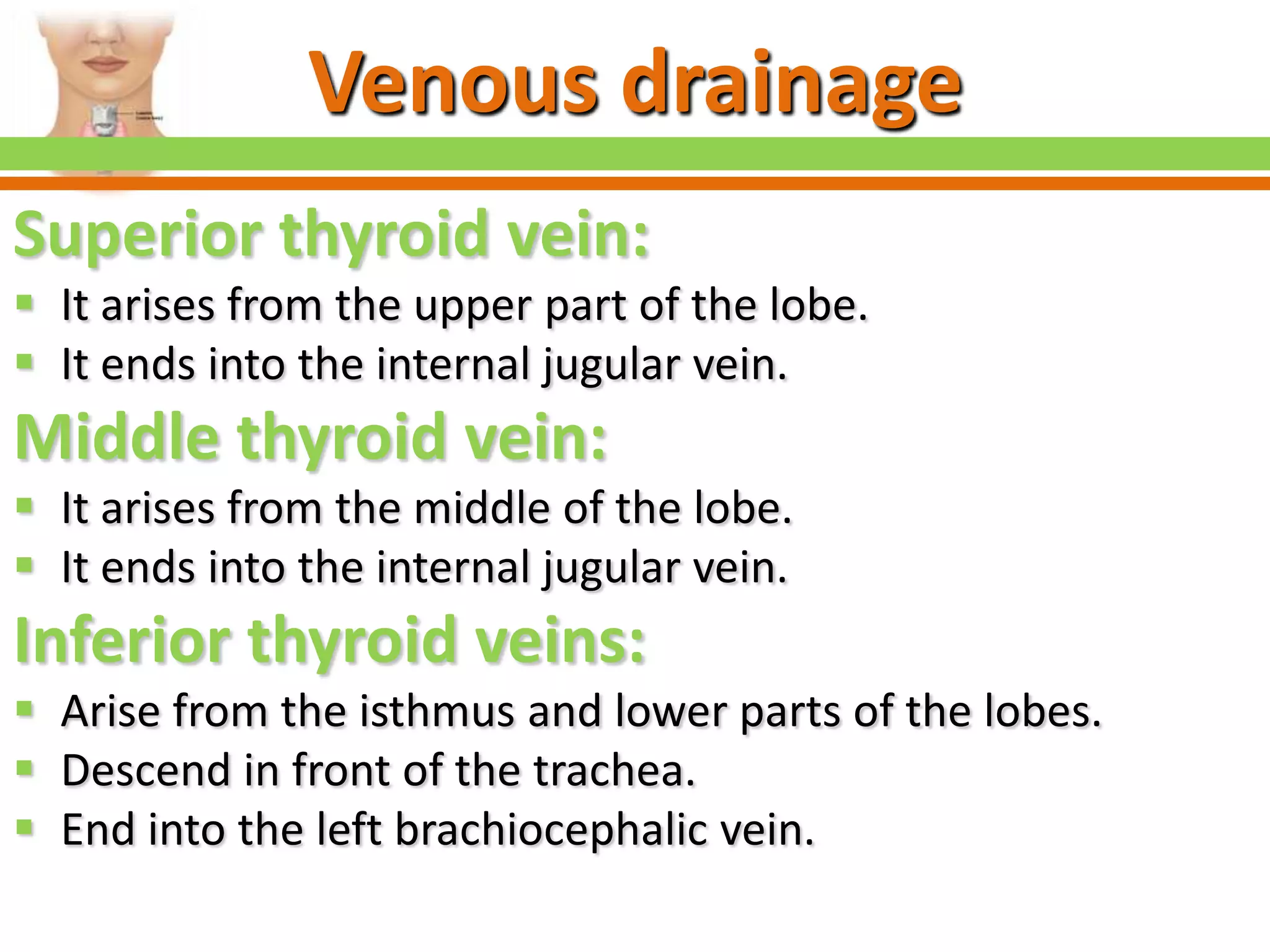 Anatomy of thyroid gland | PPTX