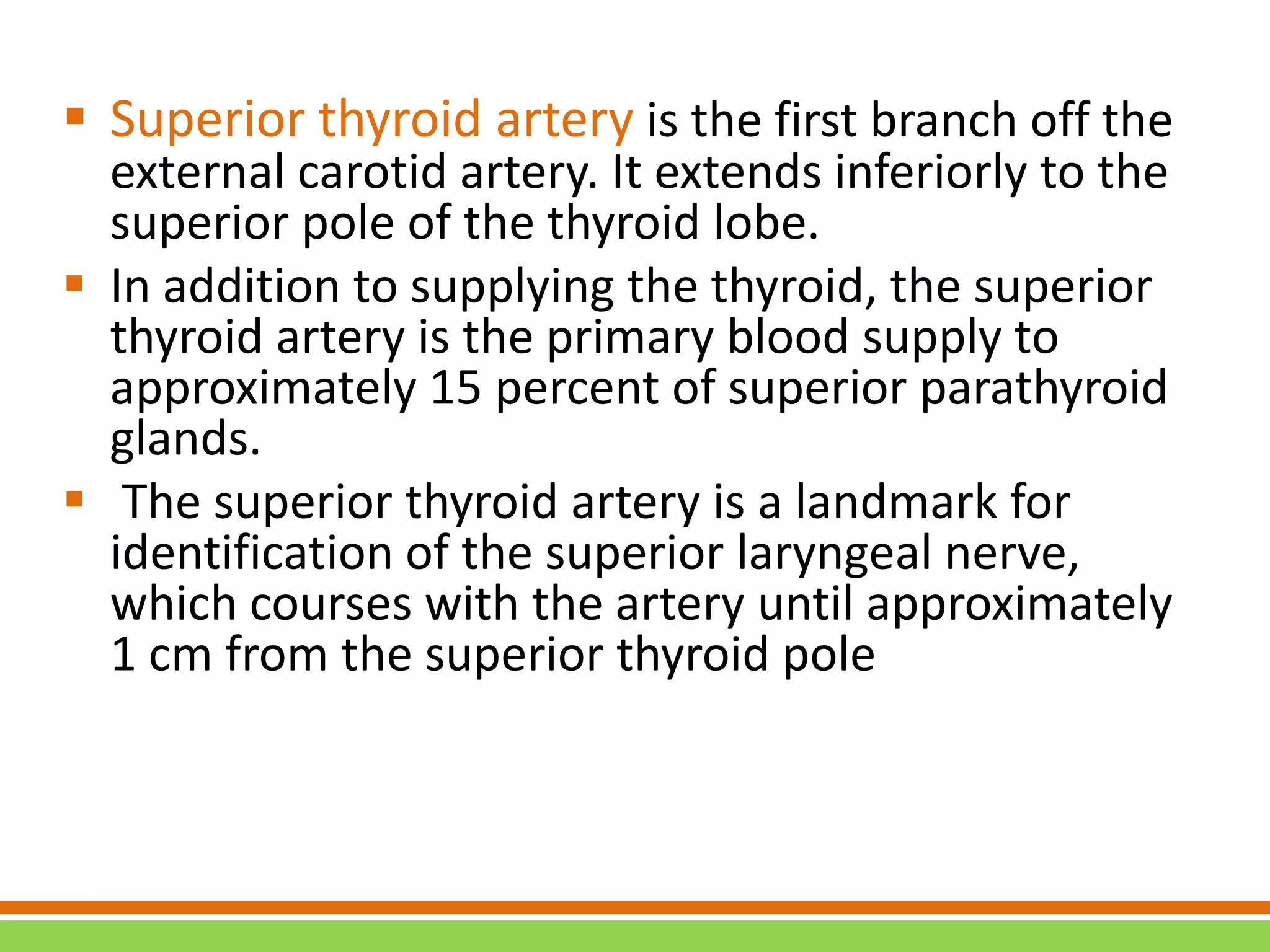 Anatomy of thyroid gland | PPTX