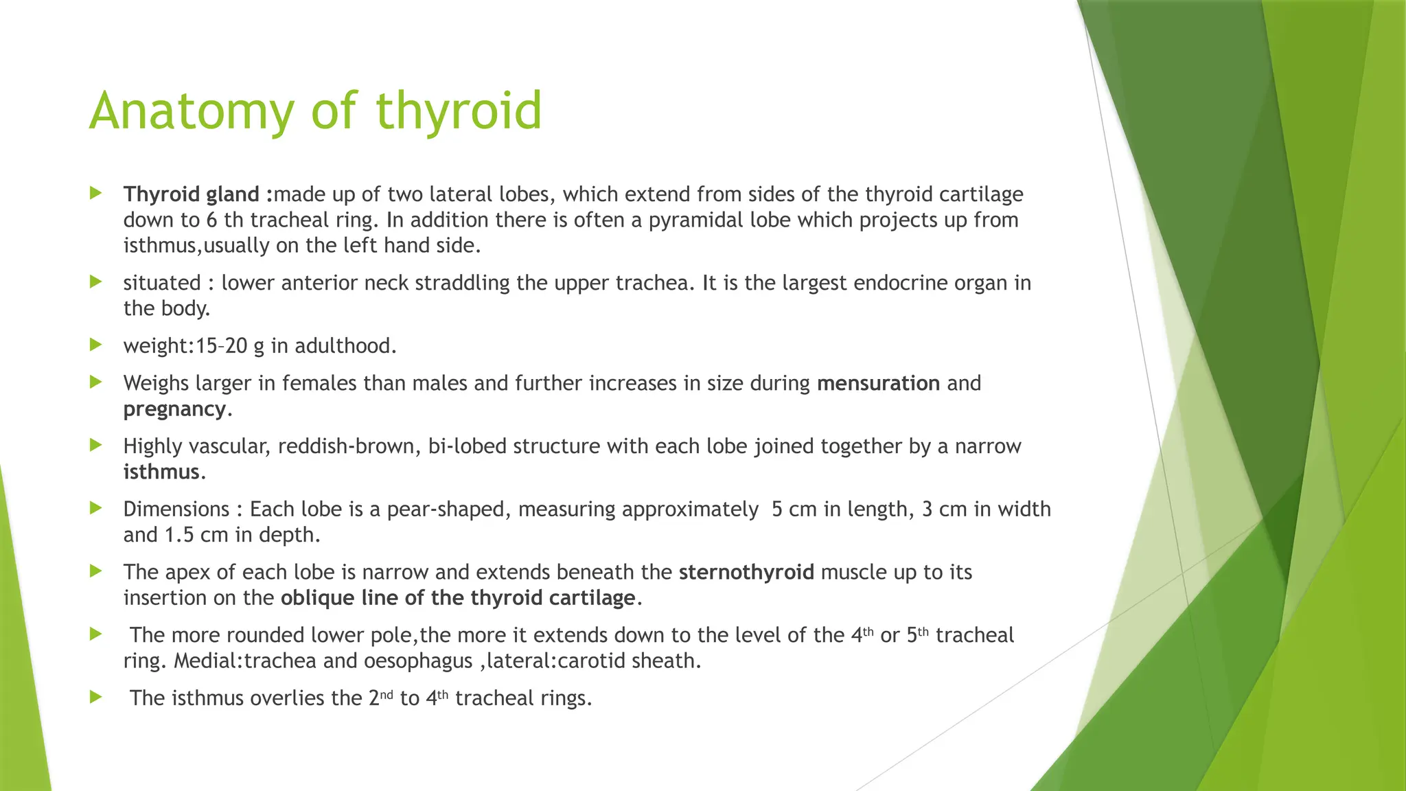 ANATOMY OF THYROID GLAND presentation. Ppt | PPTX