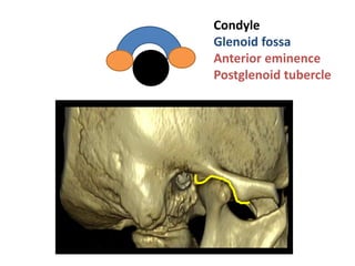 Anatomy of TMJ | PDF