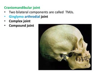 Anatomy of TMJ | PDF