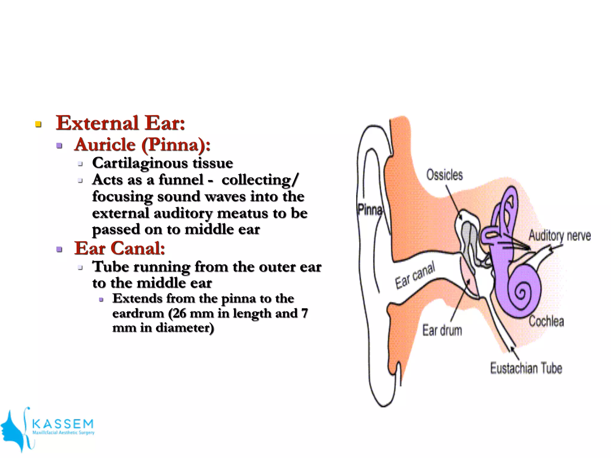 Anatomy of tmj | PDF