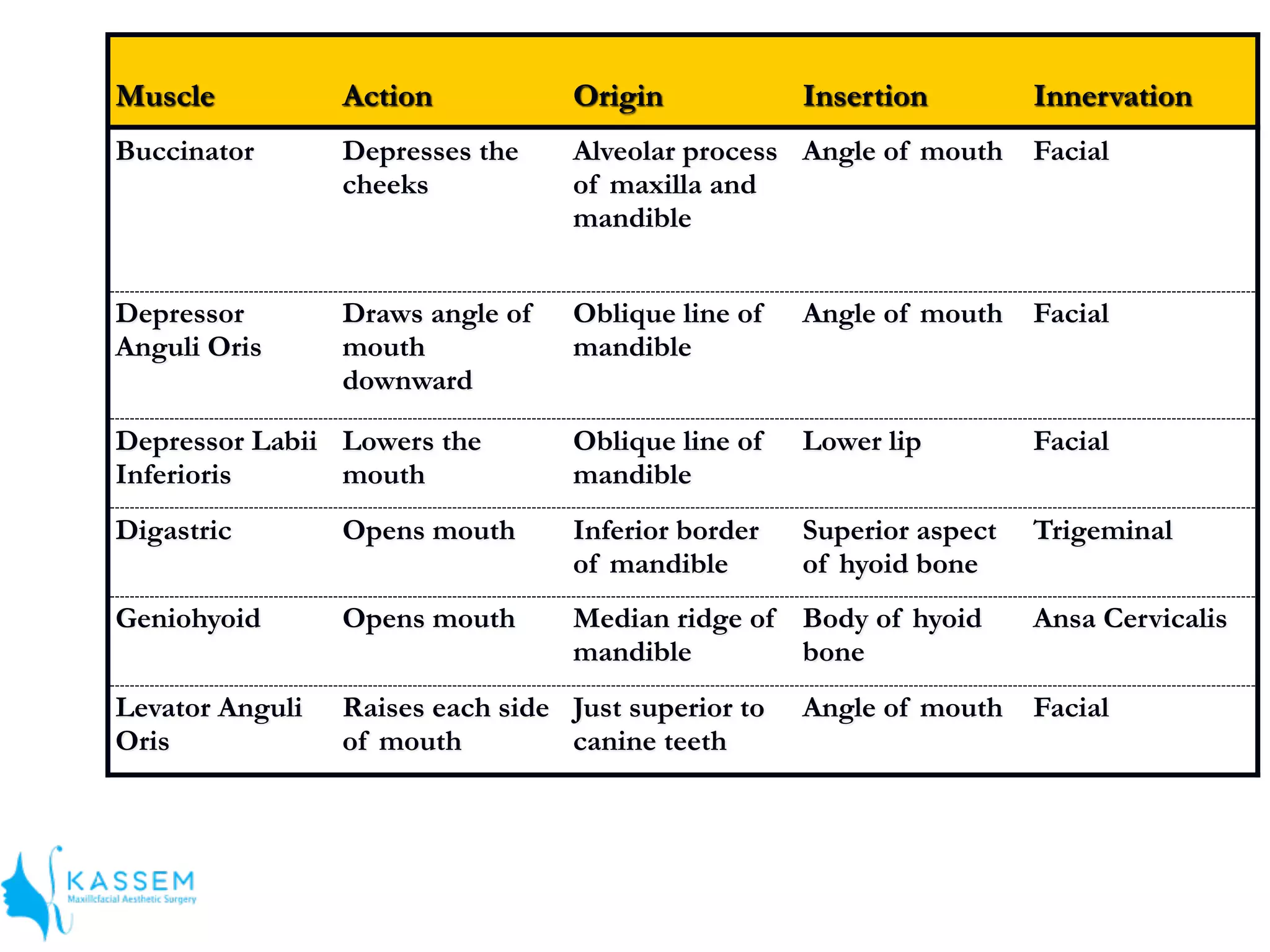Anatomy of tmj | PDF