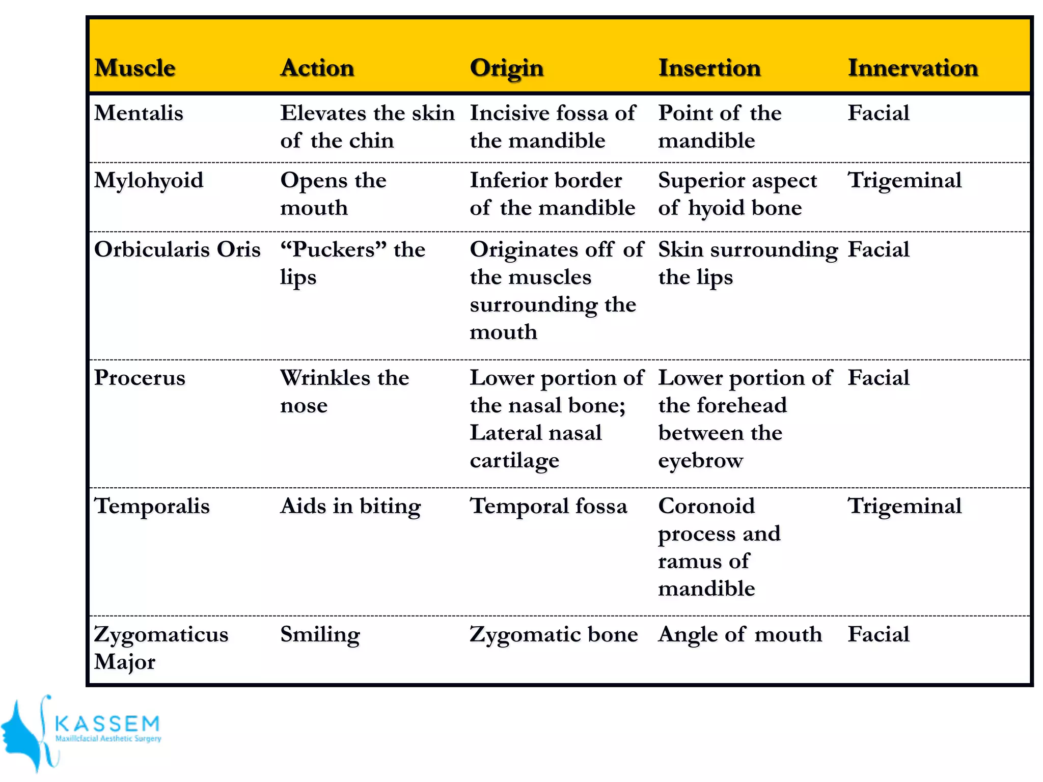 Anatomy of tmj | PDF