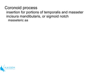 Anatomy of tmj | PDF
