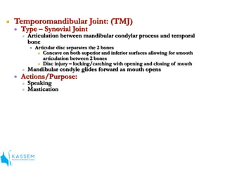 Anatomy of tmj | PDF