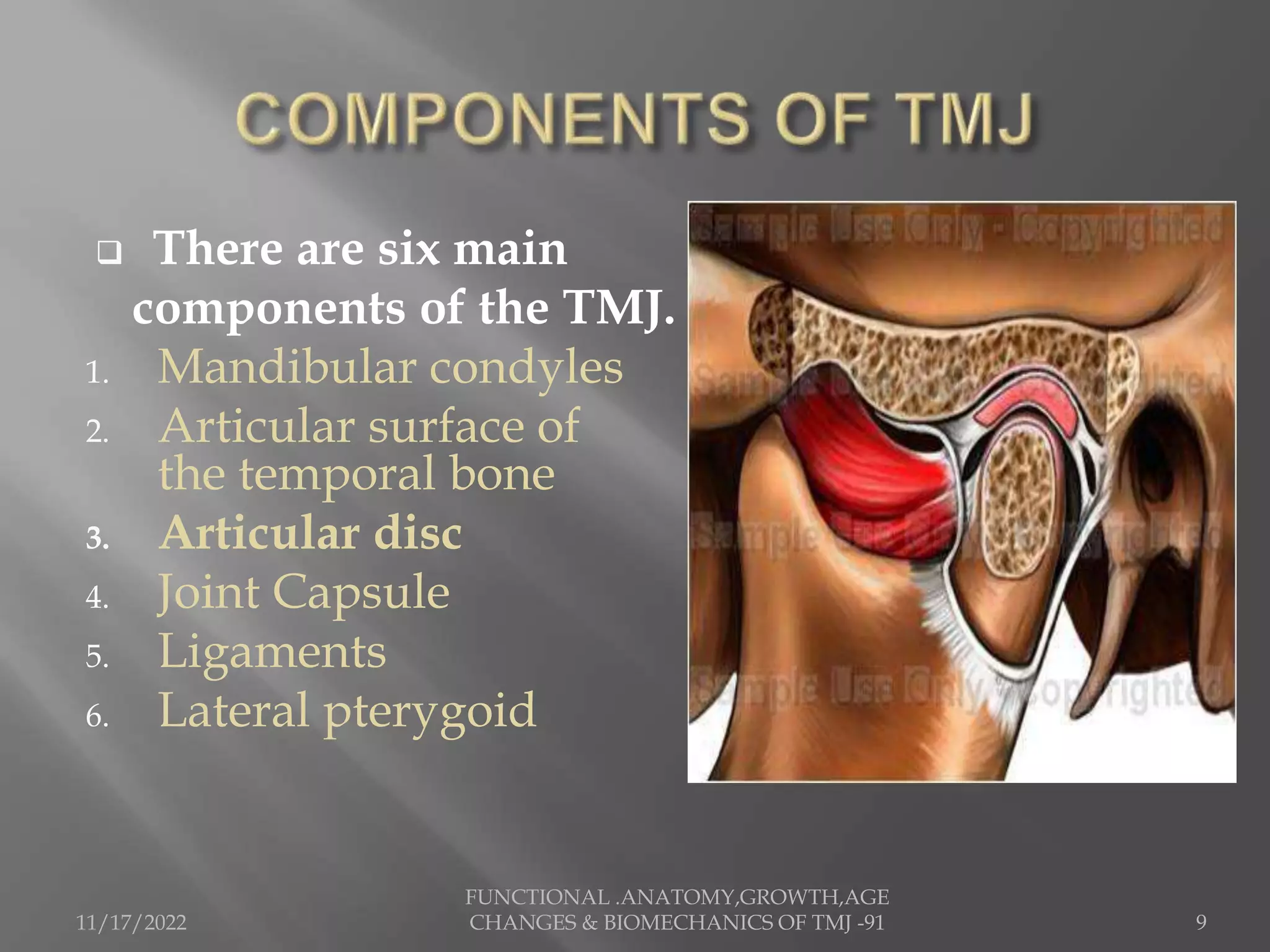 anatomy of tmj.pptx