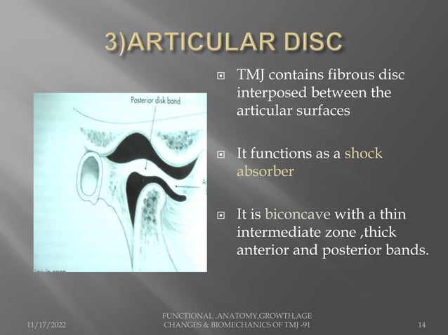 anatomy of tmj.pptx