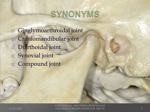 anatomy of tmj.pptx