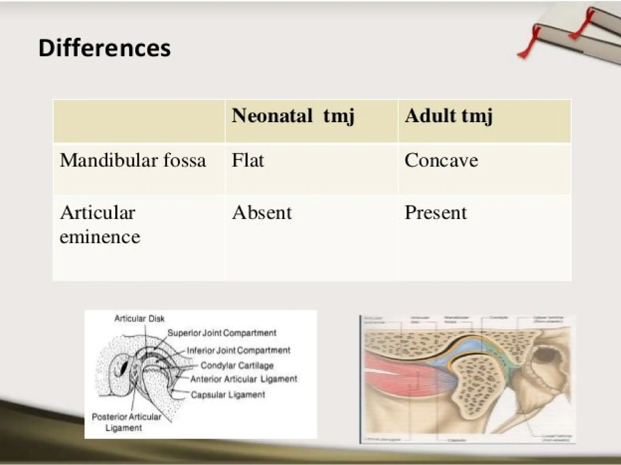 Anatomy of TMJ .pptx . . | PPT